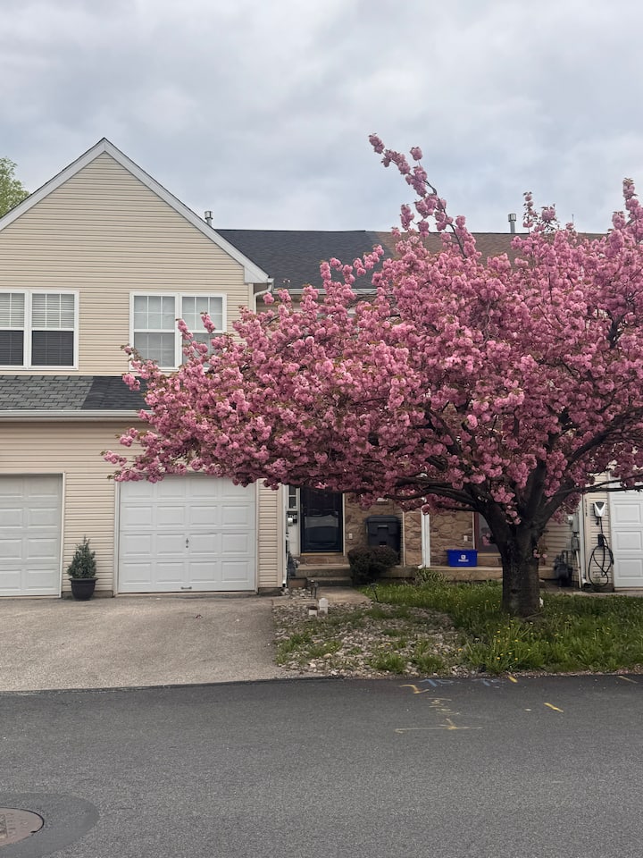 King Of Prussia Gem | Kop, Conshy & Philly Access - Villanova, PA