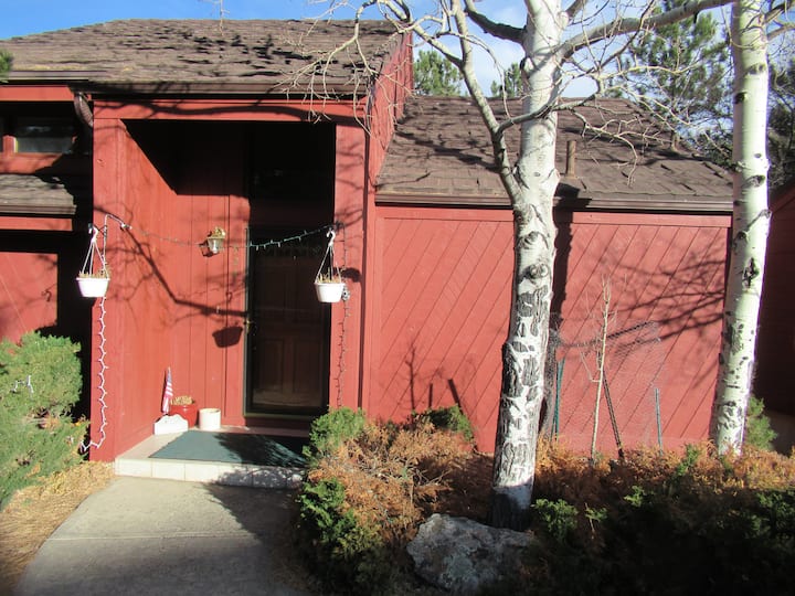 Red Rocks, Skiing Gateway, Mt. Wilderness Retreat - Evergreen, CO