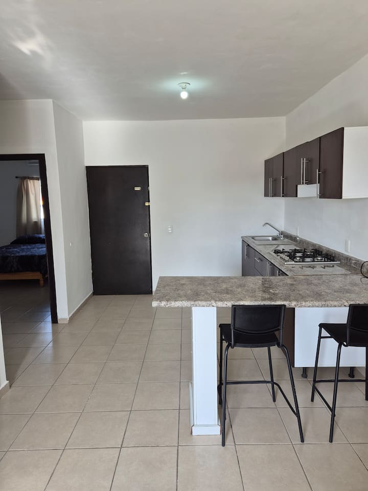 Departamento En Zona Centro De Frontera Coahuila - Monclova
