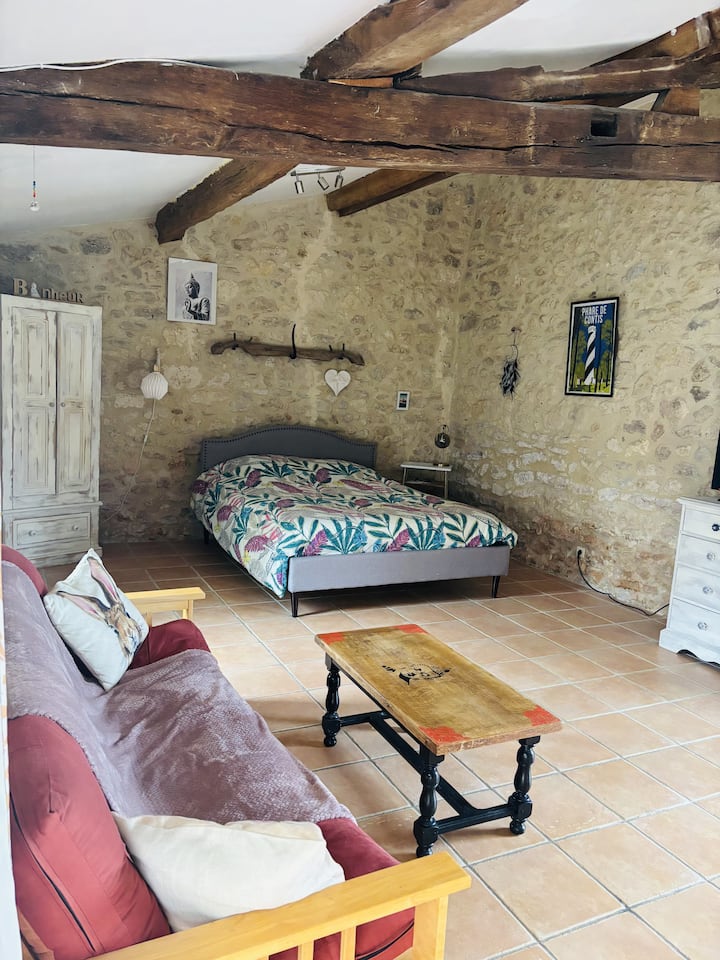 Chambres D'hôtes/studio - Bazas