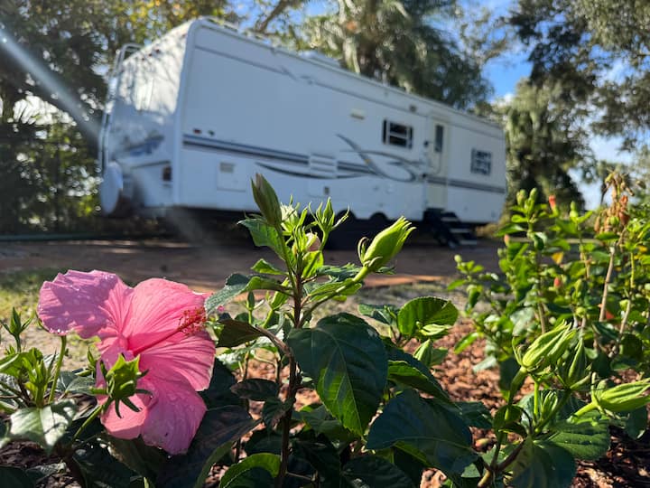 Cozy, Quirky Camper In Sebastian - Sebastian, FL