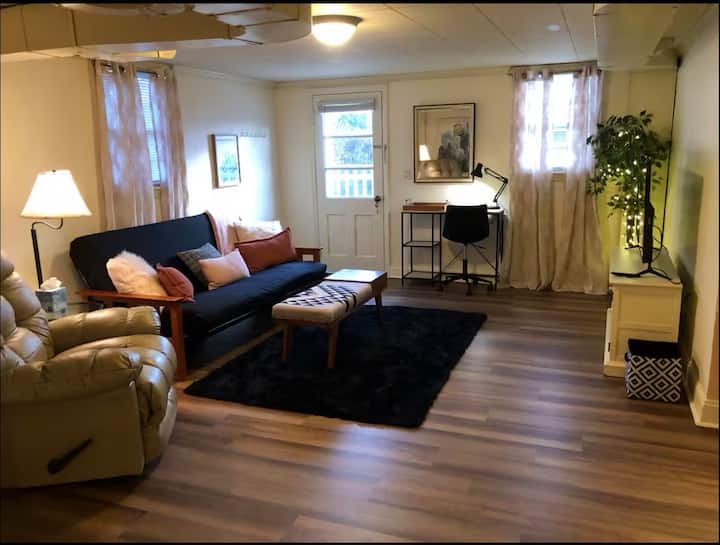Bright And Spacious Basement Apartment! - Lynchburg, VA
