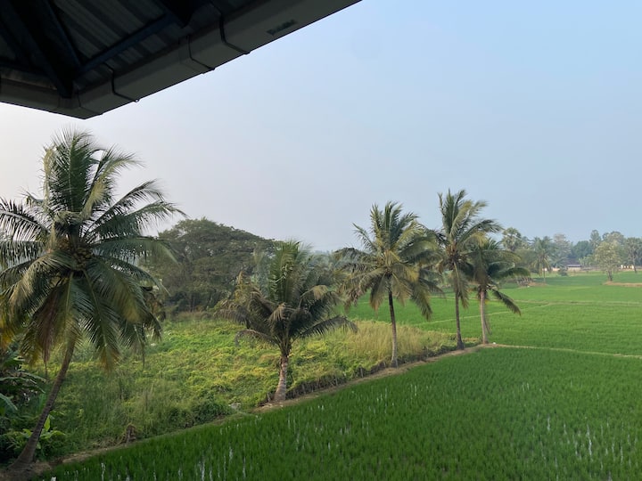 Peaceful Apartments Overlooking Lush Paddy Fields - Alathur