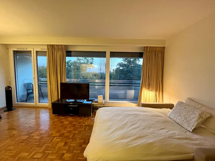 Studio Au Calme Avec Balcon – Proche Onu - Ginebra