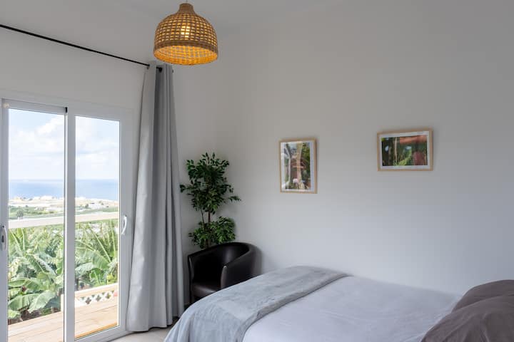 Finca Ecológica De Plátanos Ecoborges - la Grande Canarie