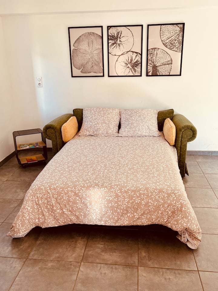 Studio Cosy Et Moderne Proche Aéroport - Sanctuaires de Notre-Dame de Lourdes