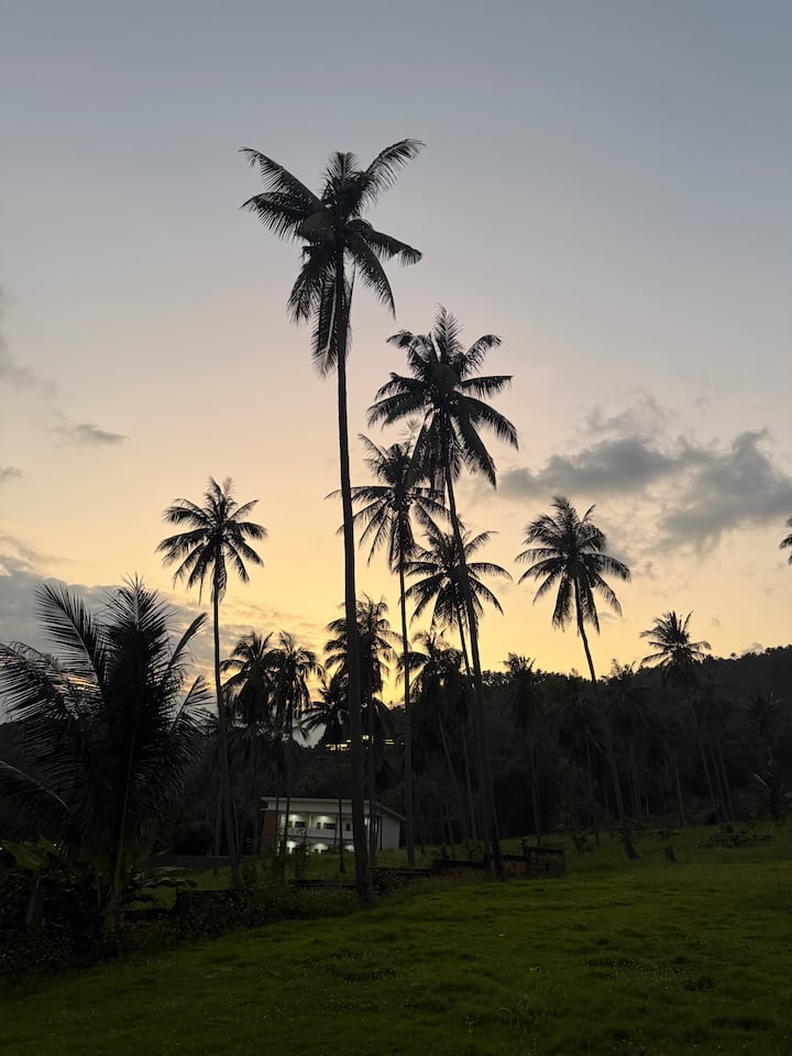 Lamai Comfortable Home - Ko Samui, Island