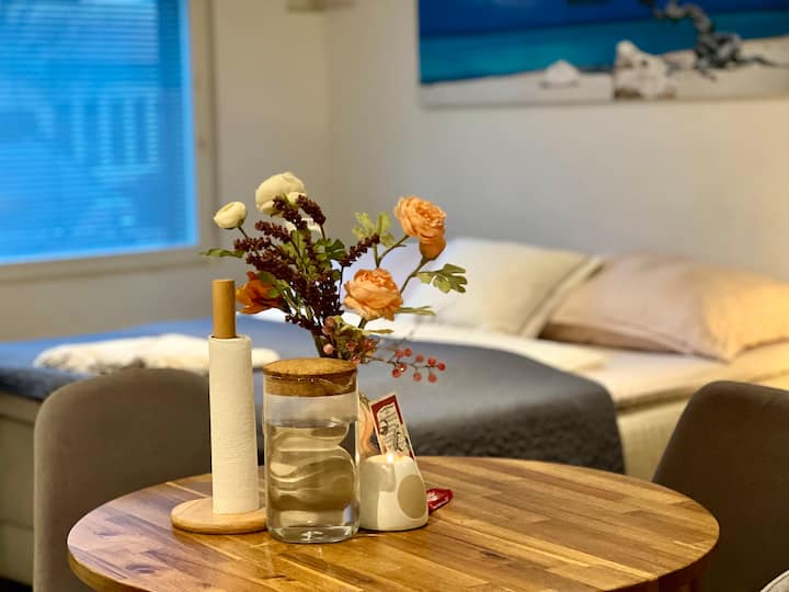 Cozy Studio Near Helsinki-vantaa Airport - Vantaa