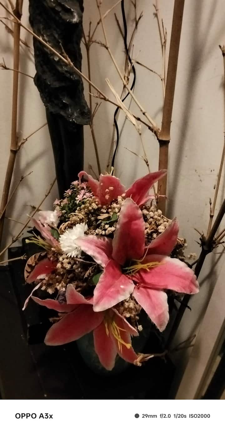 波阿斯 - Tamsui District