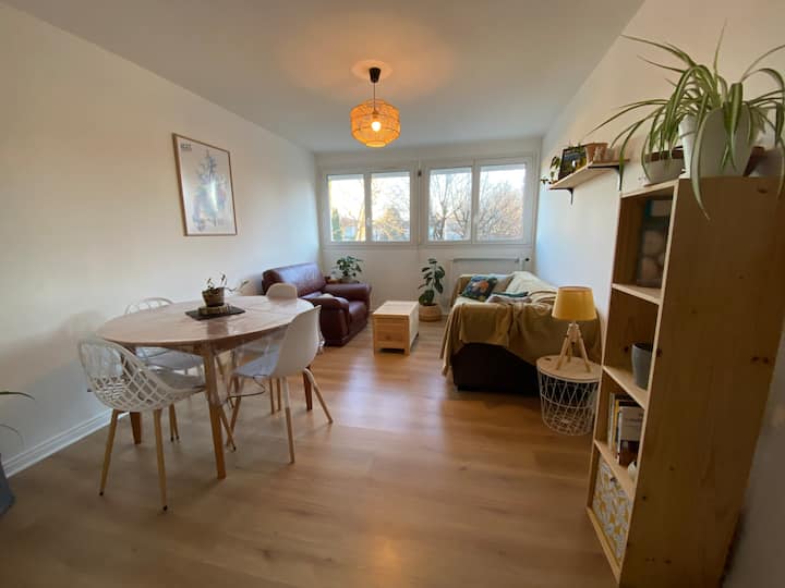 Grand T2 Lumineux Et Confortable Avec Parking - Tarbes