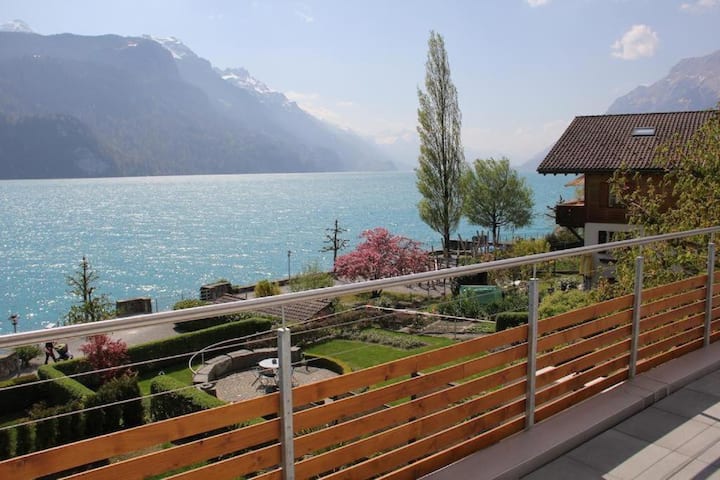Brienzersee - Direct Lake View - Brienz