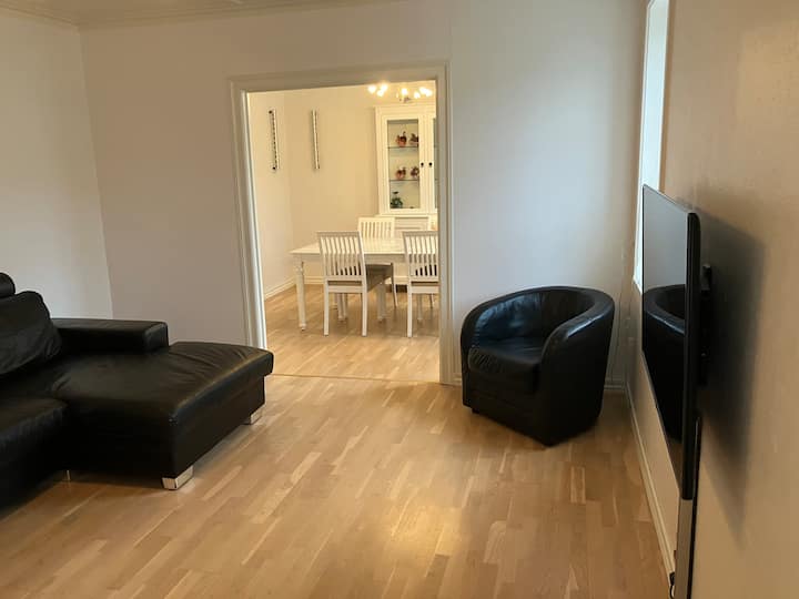 Ren Og Rummelig Lejlighed I Centrum - Faroe Islands