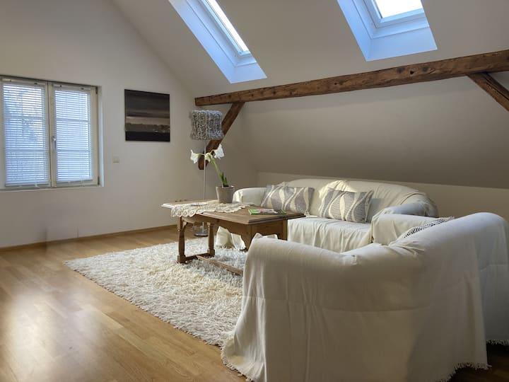 "Hide Away" - Ferienwohnung In St. Arbogast - Hohenems