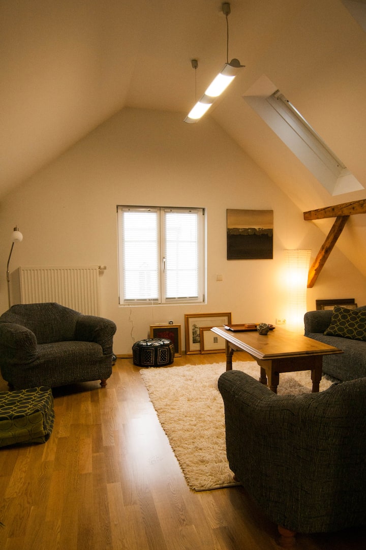 "Hide Away" - Ferienwohnung In St. Arbogast - Götzis