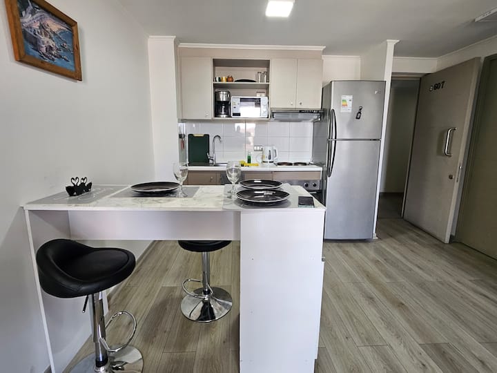 Dpto. Metro Santa Ana Stgo Centro Con Calefaccion - Santiago