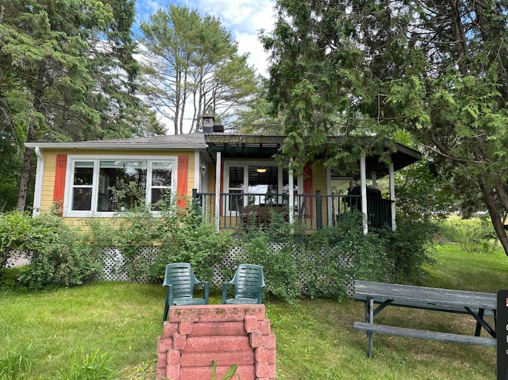 Le Jaseur Des Cèdres Sur Le Bord Du Lac - Lac-Simon