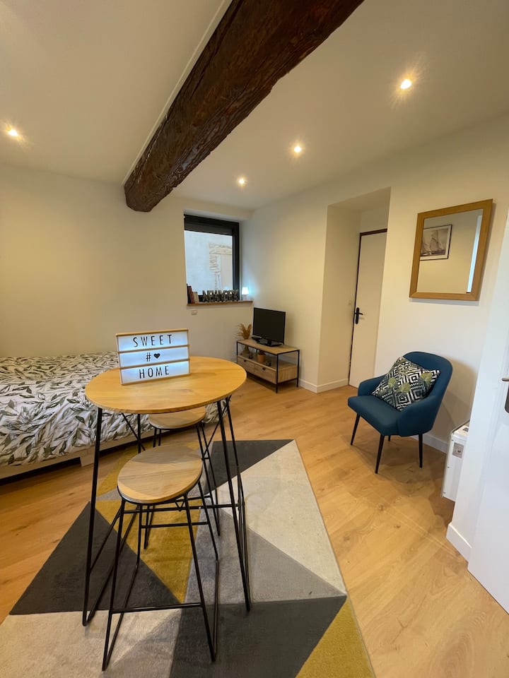 Studio Rénové Sur Jardin Proche îLe Barbe - Collonges-au-Mont-d'Or