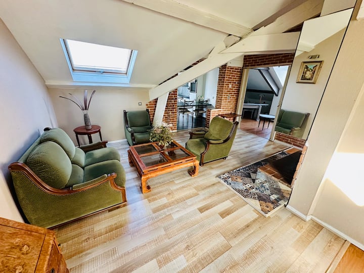 Loft D’exception Avec Vue Sur Pyrénées Et Rivière - Tarbes