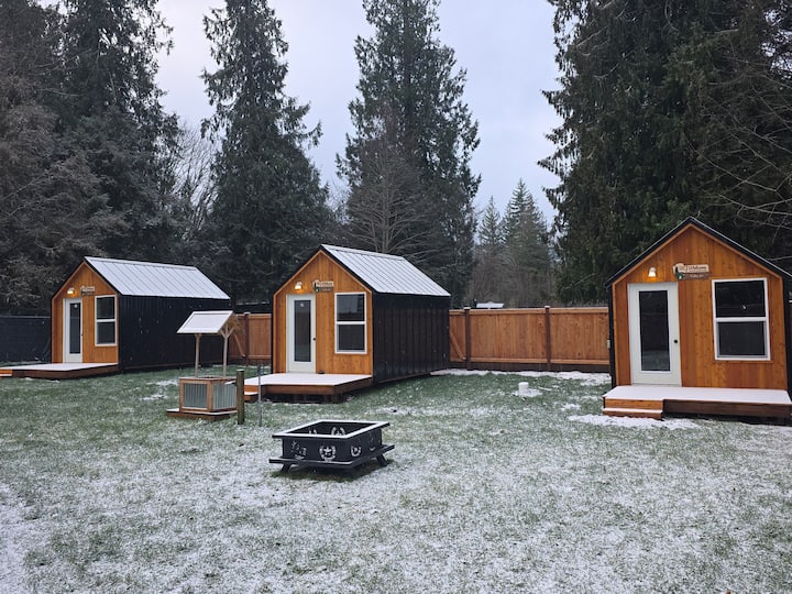 Cozy Cabin Retreat #4 - Washington