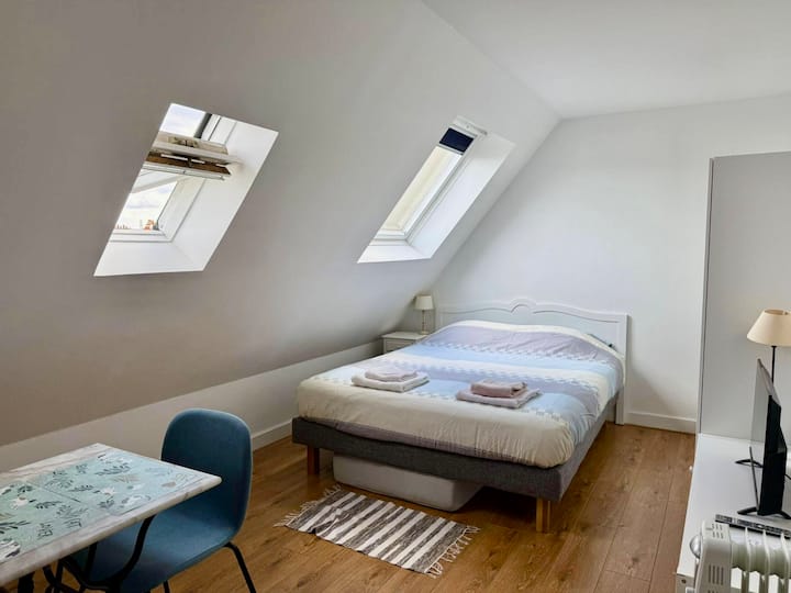 Appartement Climatisé Et Lumineux, Centre Parisien - Paris 6e Arrondissement