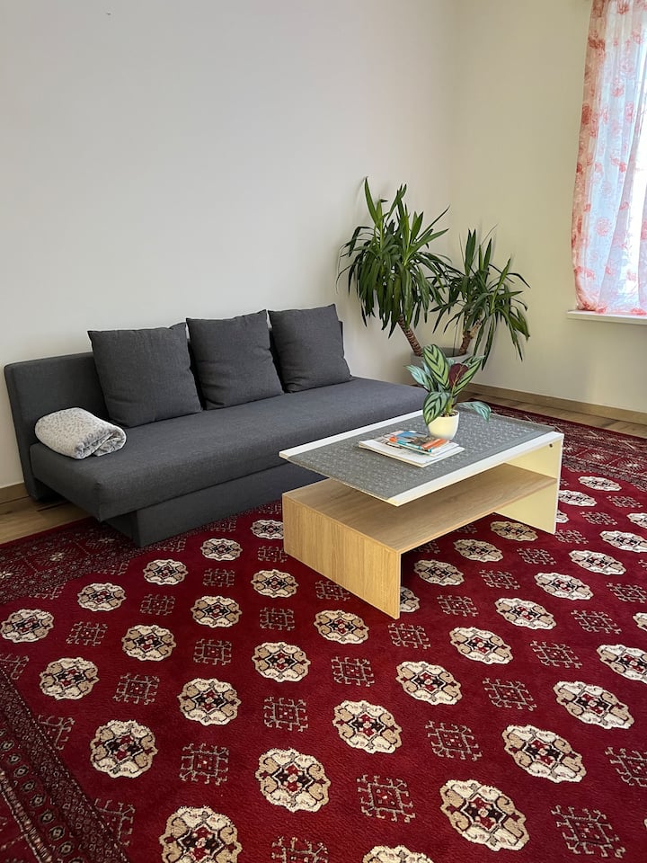 Refurbished Cosy Flat Ghent - Gand