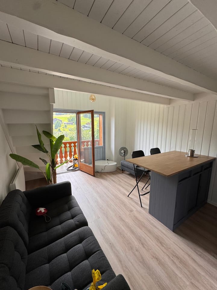 Combloux - Cosy Flat With Mont-blanc View - Combloux