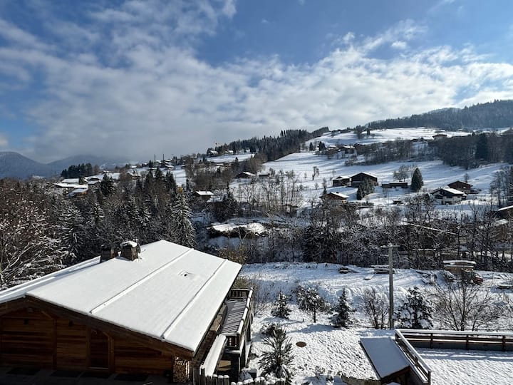 Combloux - Cosy Flat With Mont-blanc View - Combloux