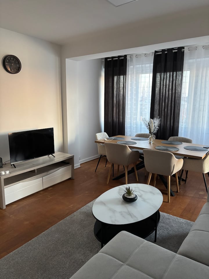 Appartement Entier Vu Sur La Saône En Plein Centre - Chalon-sur-Saône