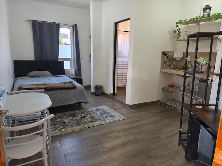 Loft Cómodo Y Acogedor, Céntrico Y Tranquilo - Monterrey