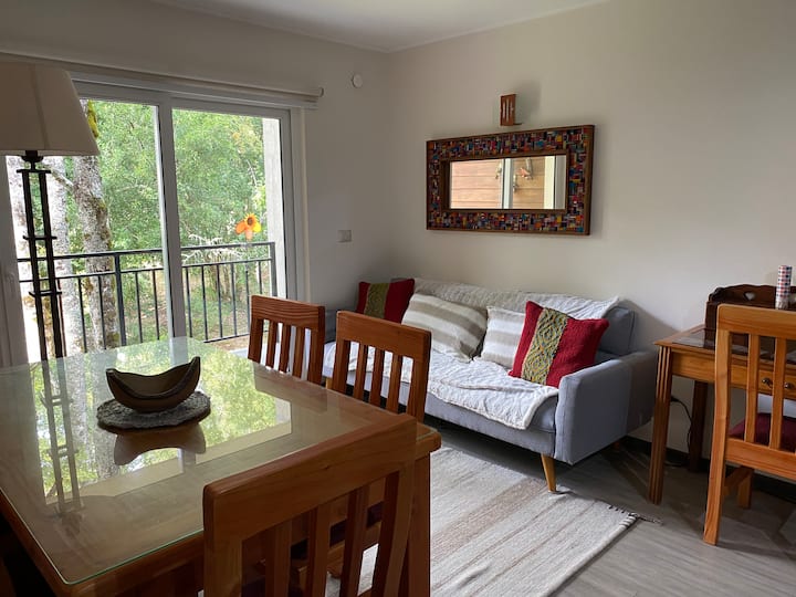 Acogedor Departamento En Privilegiado Entorno. - Pucón