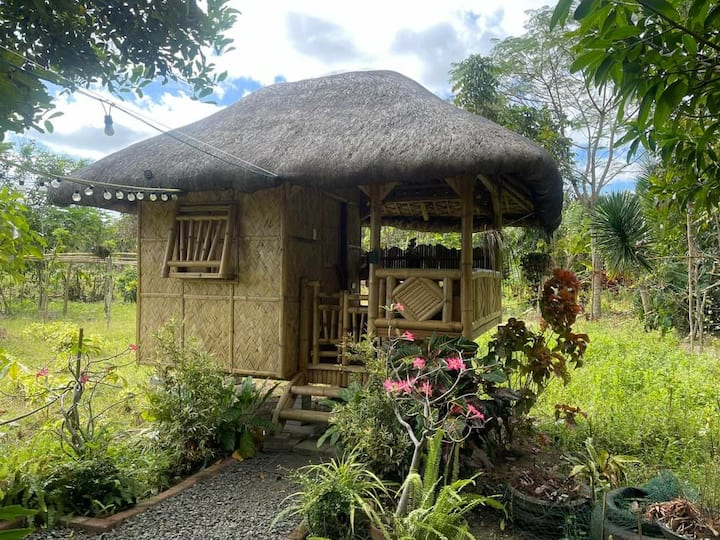 Ian's Nature Farm Resort - San Pablo City