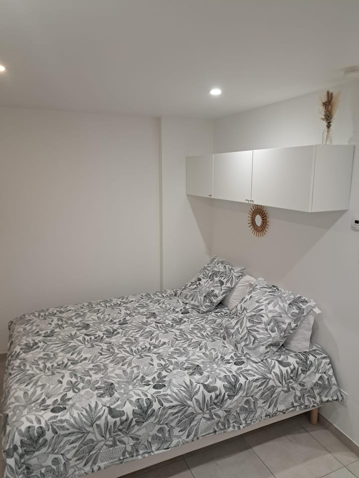 La Parenthèse Lémantine - Studio 3 - Évian-les-Bains