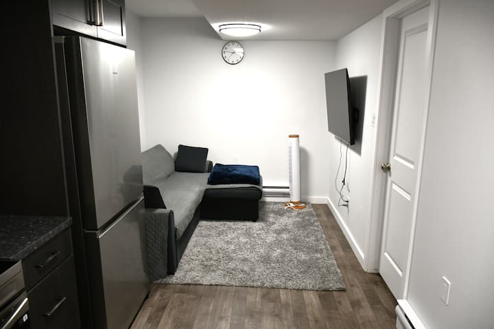 City Of Refuge Modern Walkout Suite + Parking - Regina