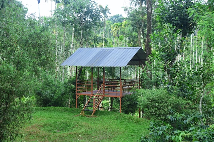 Wayanad Coffee Vintage - 와야나드 지구