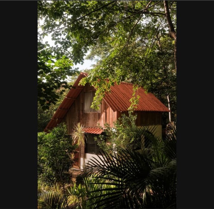 Jungle Surf Shack@ Playa Maderas - Nicaragua