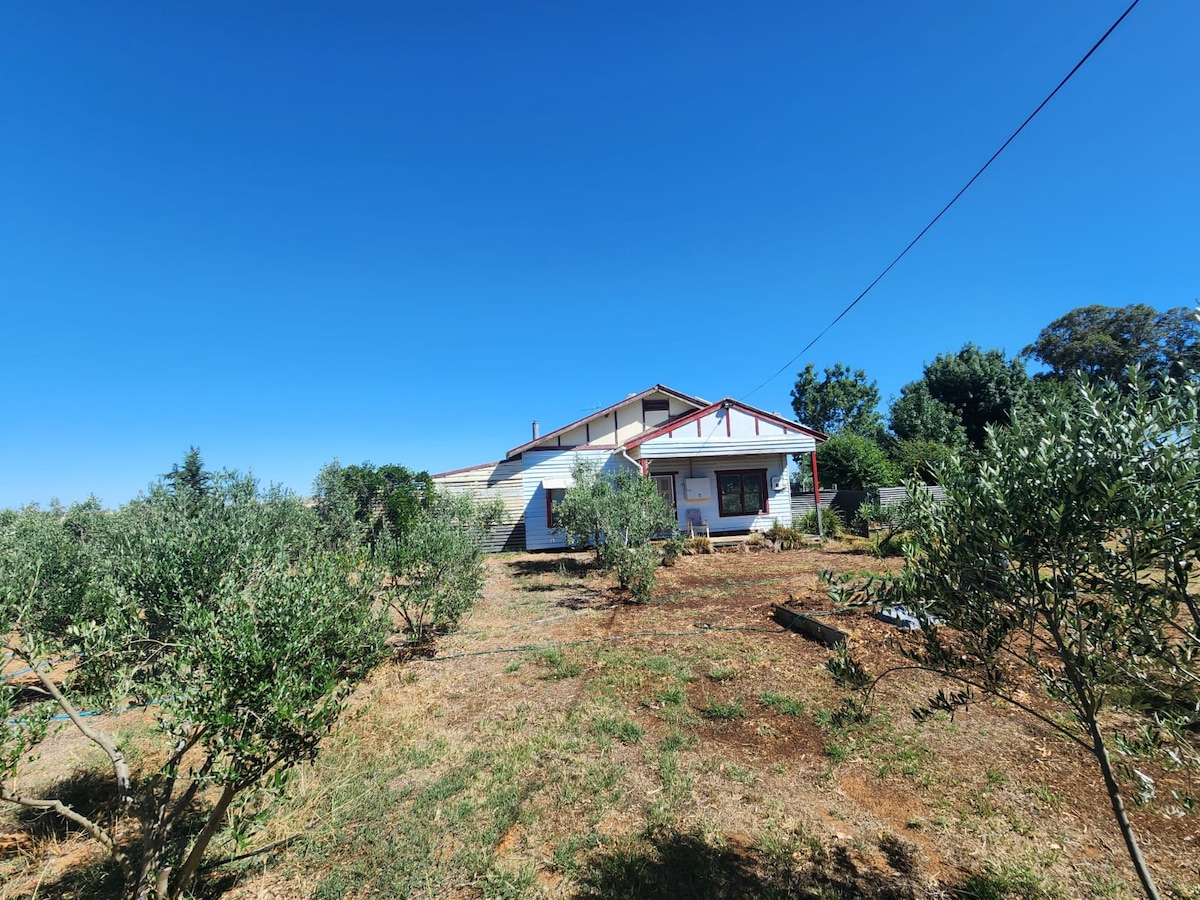 Tranquil Olive Grove FarmStay – Nord de Victoria - Gîtes à la ferme à ...