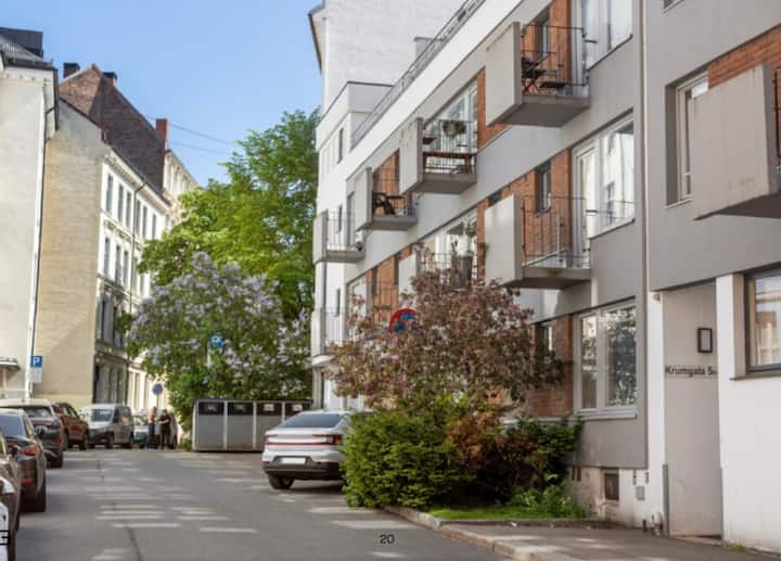 Hybelleilighet PÃ¥ St. Hanshaugen - Oslo