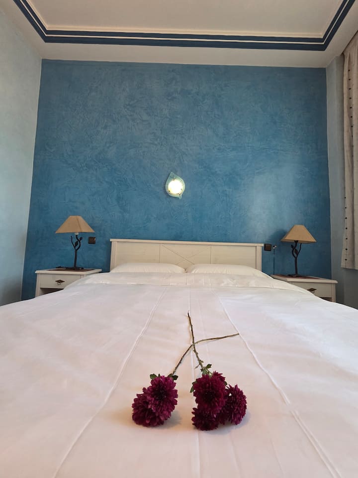 摩洛哥卡萨布兰卡精品庭院民宿 - Casablanca