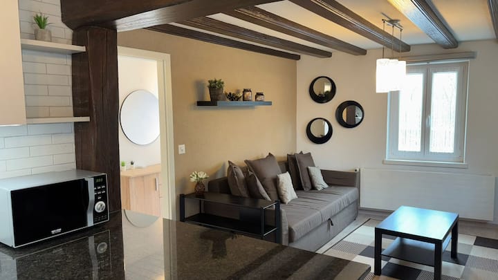 Apartment With Private Entry, Parking & Transport - Bussigny