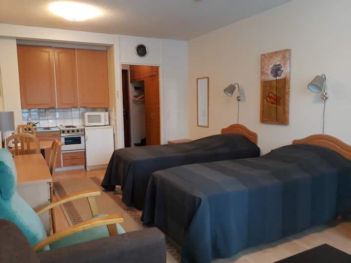 Kylpylä-hotelli Huone 363 - Ikaalinen