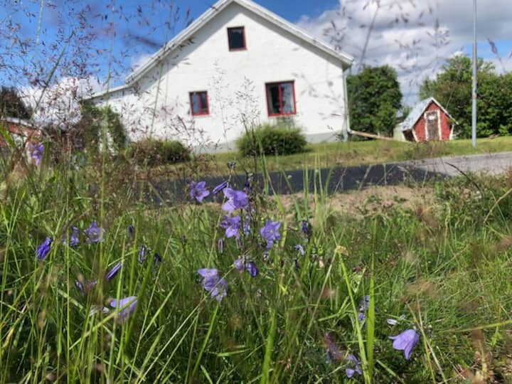 Bergsviken 12:an - Piteå