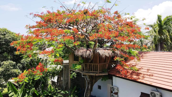 Baumhaus Mit Dachterrasse, Pool, Tropischer Garten - Cabarete
