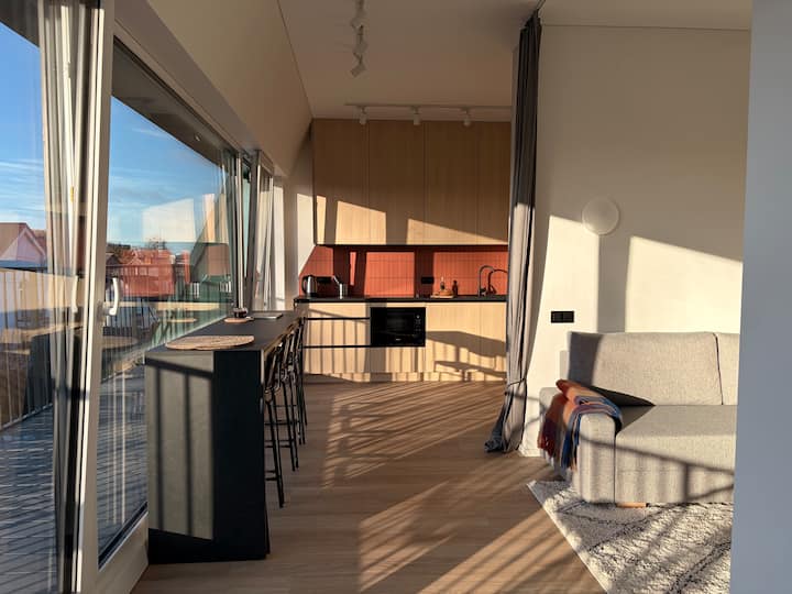 Designer Penthouse With Huge Terrace & Fast Wi-fi - Kaunas
