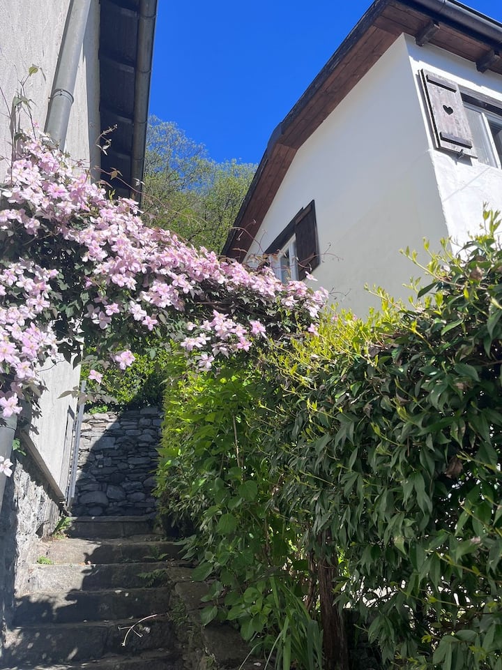 Romantisches Studio Oberhalb Brissago - Brissago