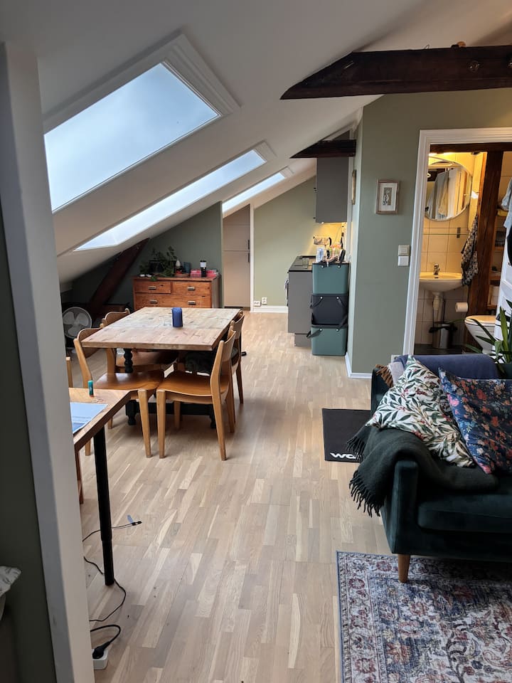 Koselig Leilighet Sentralt I Oslo - Oslo