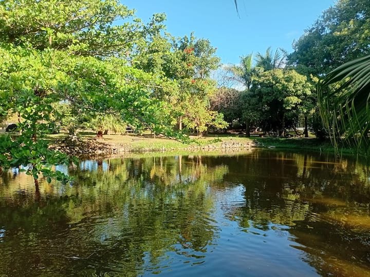 Tropical Garden Hideaway - Stonecutter - Port Louis