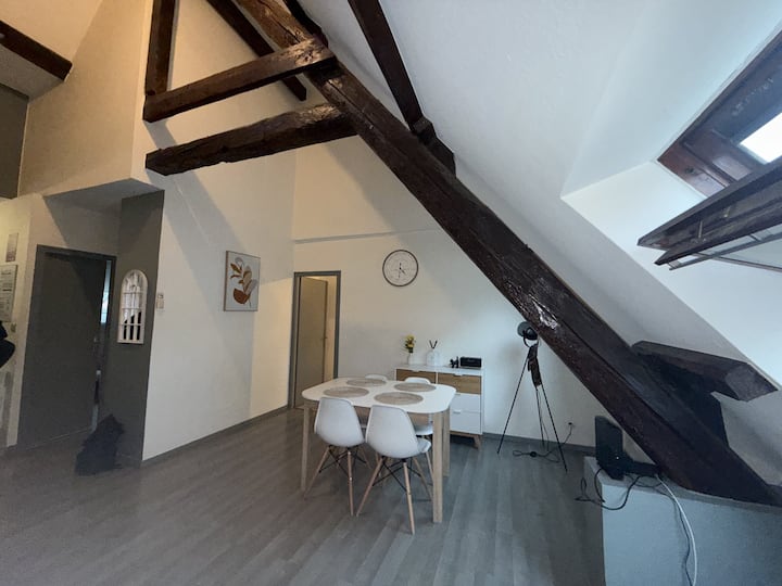 Sublime Appartement Lumineux Au Cœur De Belfort - Belfort