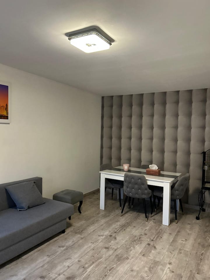 Charmant T2 Central Avec Parking - Annemasse