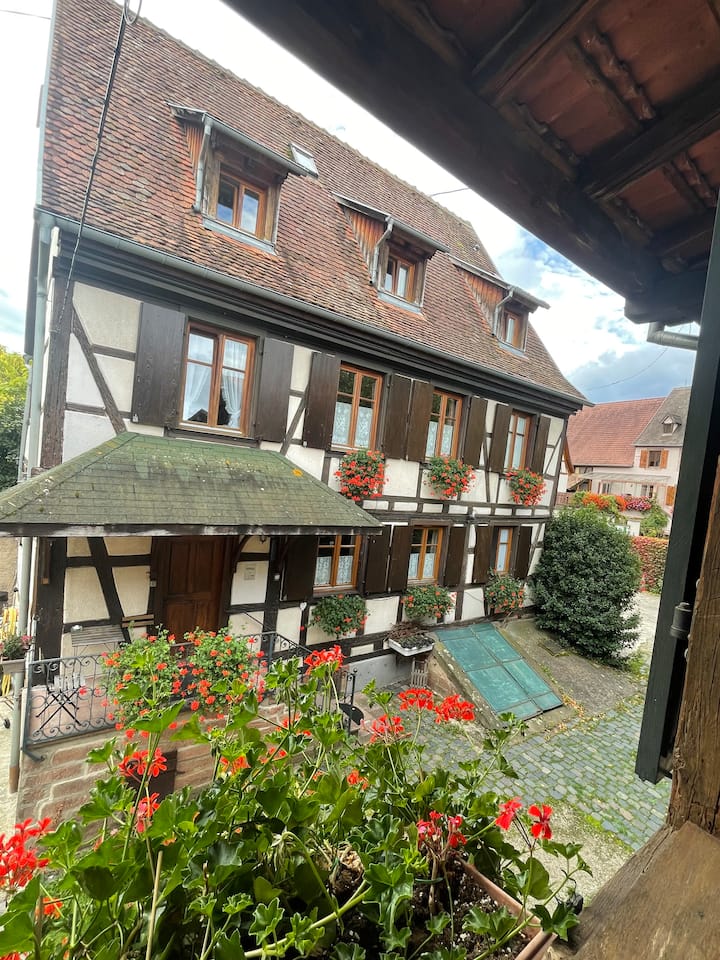 Charme Alsacien Entre Colmar Et Strasbourg - Dambach-la-ville