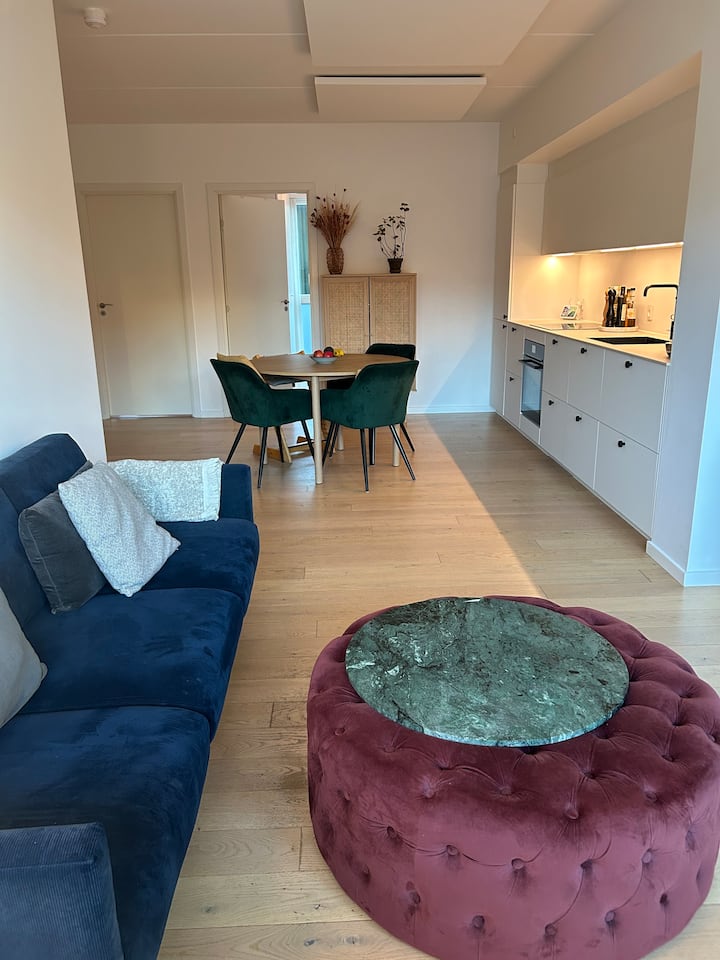 Familievenlig Lejlighed - Copenhague